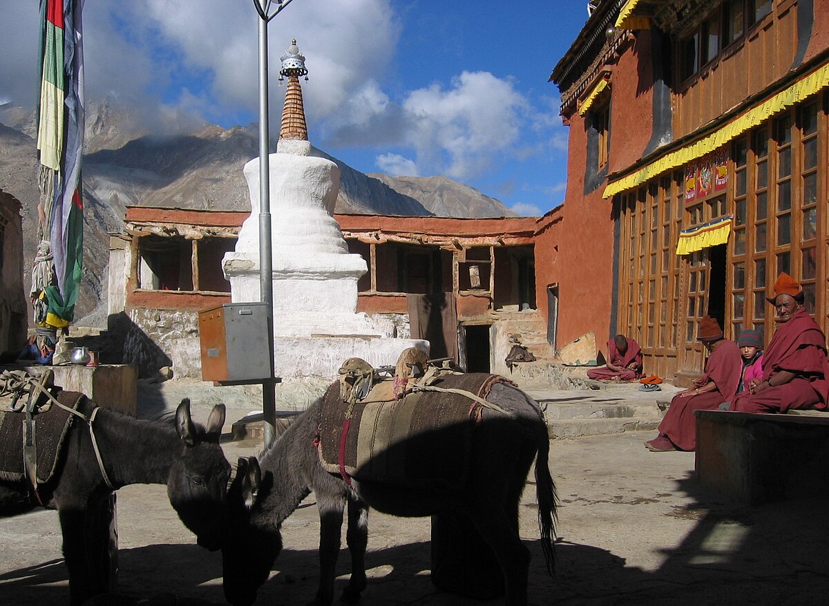 27 Largest and Oldest Monasteries in Ladakh